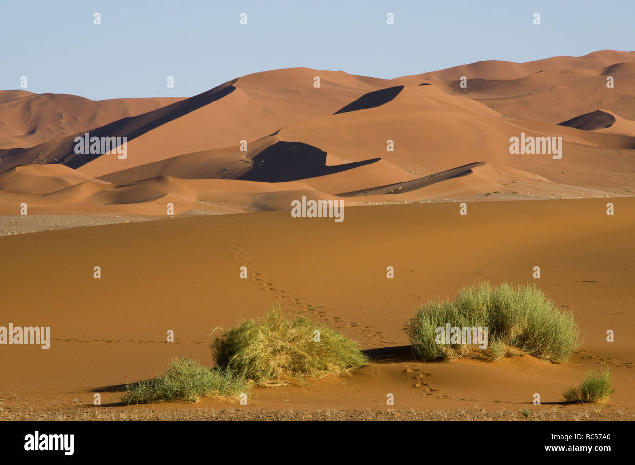 the beautiful sand dune landscape of Sossusvlei National Park in Nambia ...