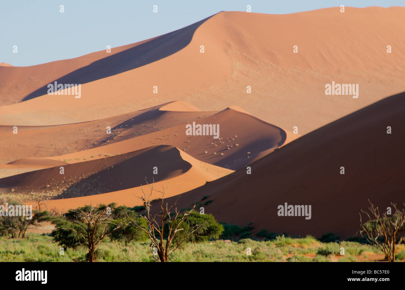 the beautiful sand dune landscape of Sossusvlei National Park in Nambia ...