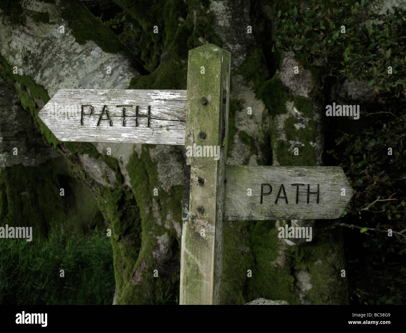 Dilemma signpost hi-res stock photography and images - Alamy