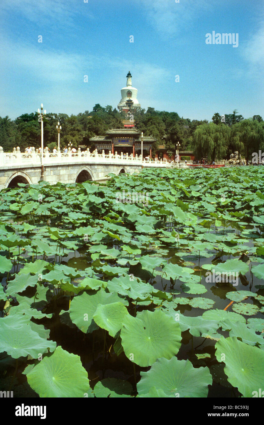 china beijing daily life Stock Photo - Alamy