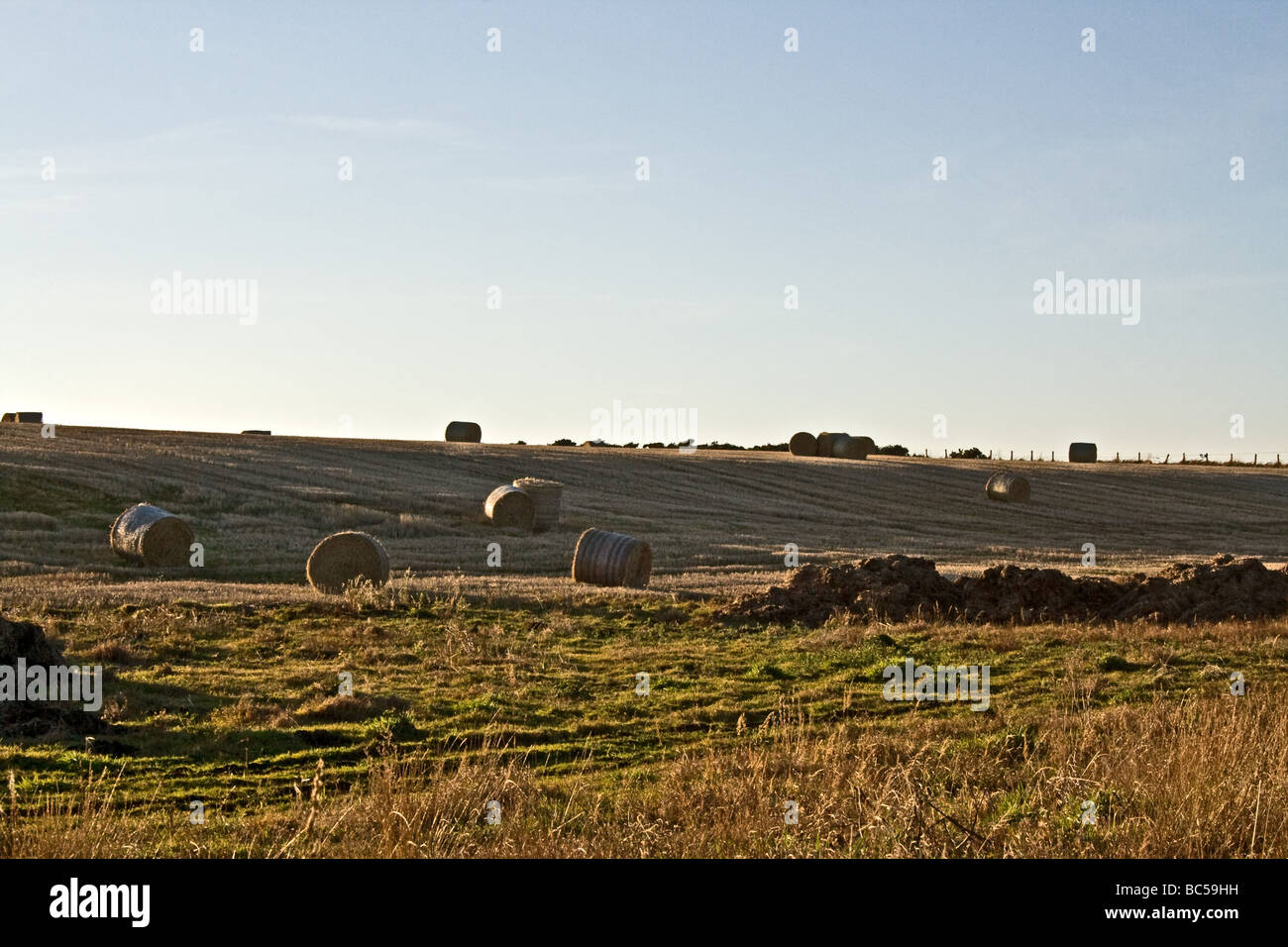 Hay bales by a large empty field in Scotland Stock Photo - Alamy