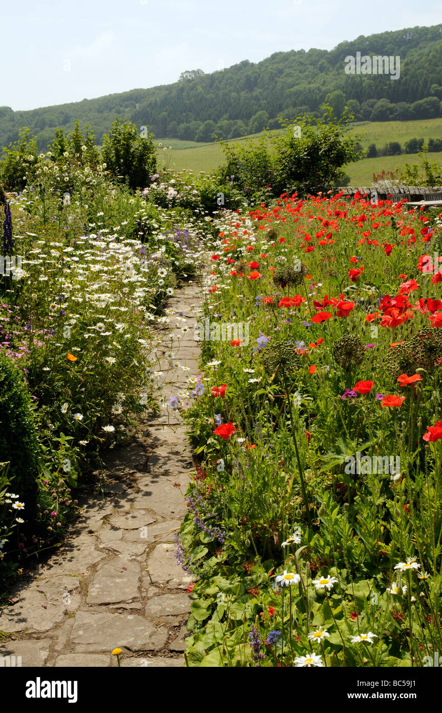 Daisy path walkway hi-res stock photography and images - Alamy