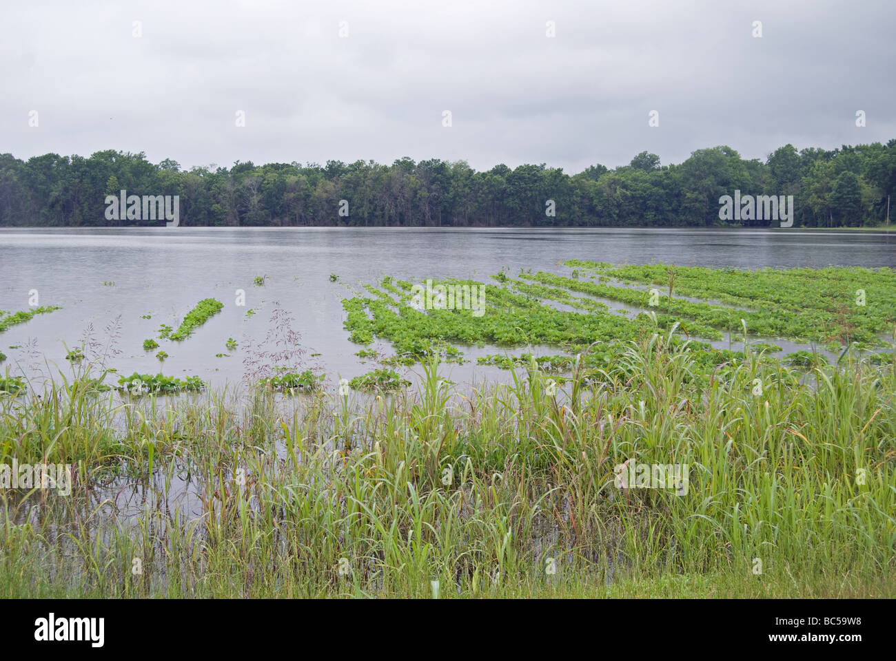 Flooded land outside hi-res stock photography and images - Alamy