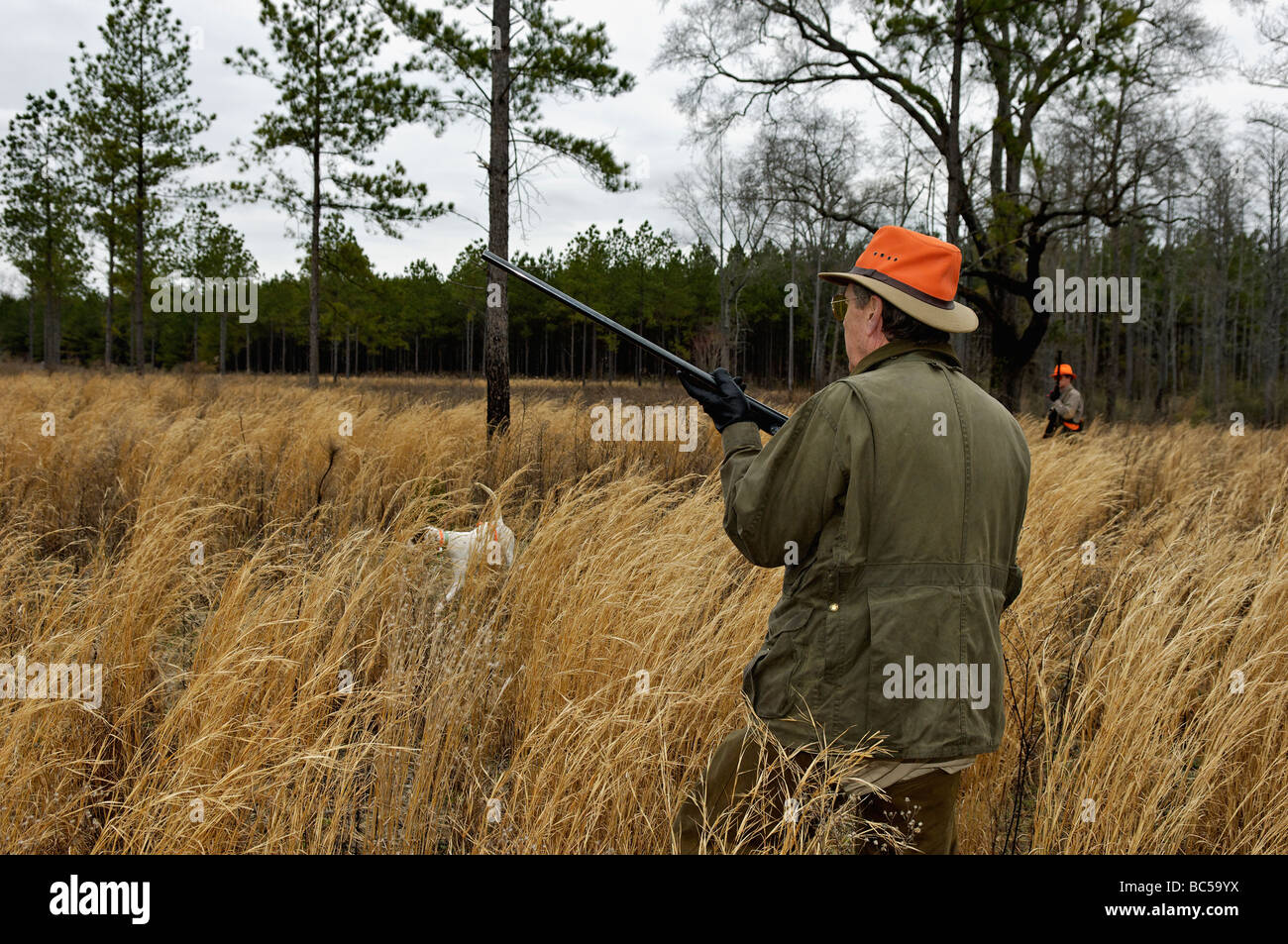 Flush of birds hi-res stock photography and images - Alamy