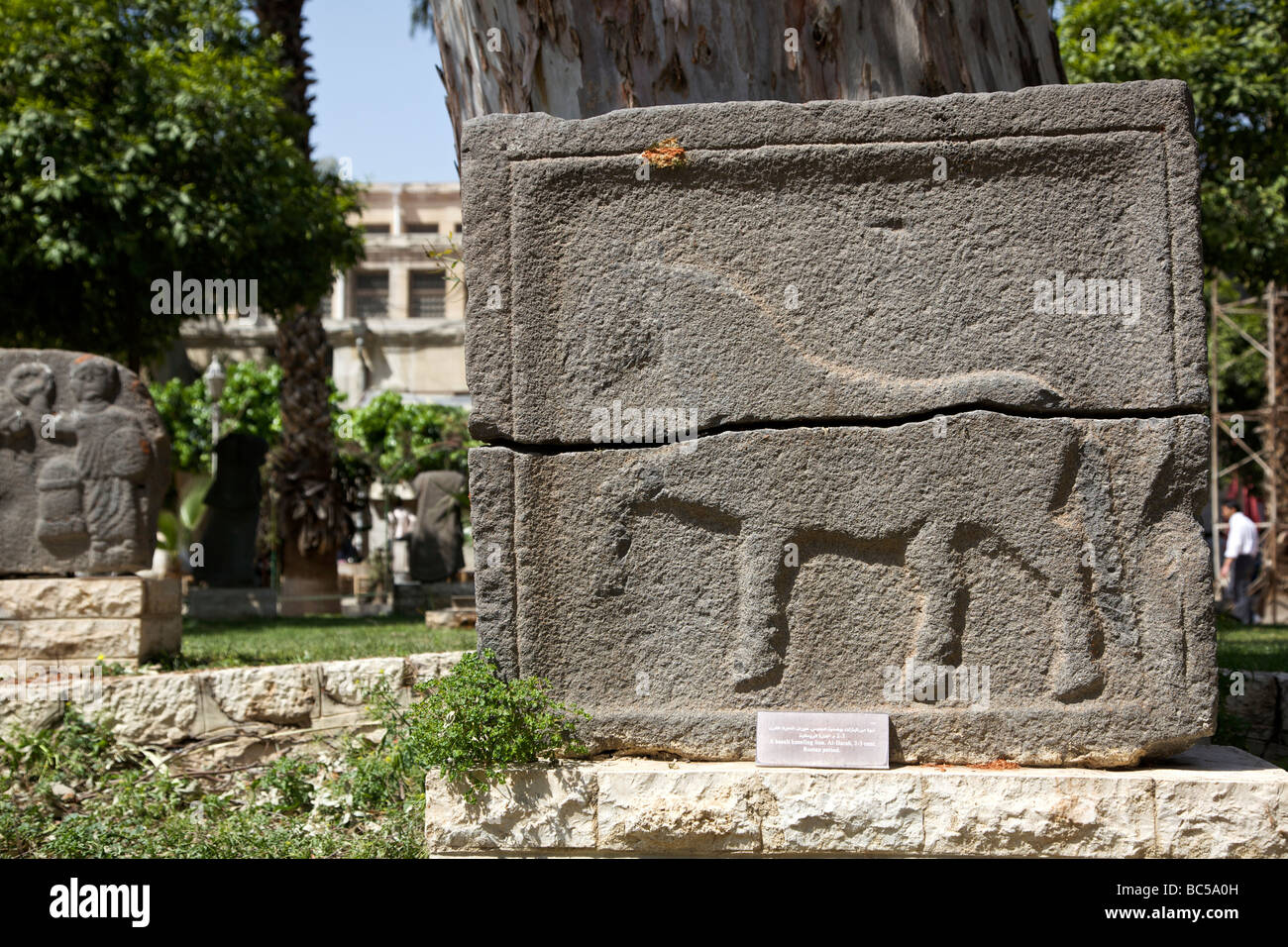 Exhibits in the sculpture gardens of the National Museum, Damascus ...