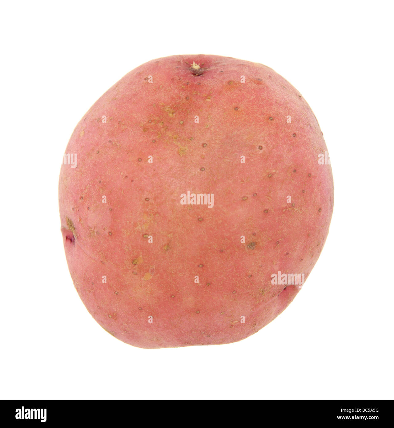 Single red potato Stock Photo - Alamy