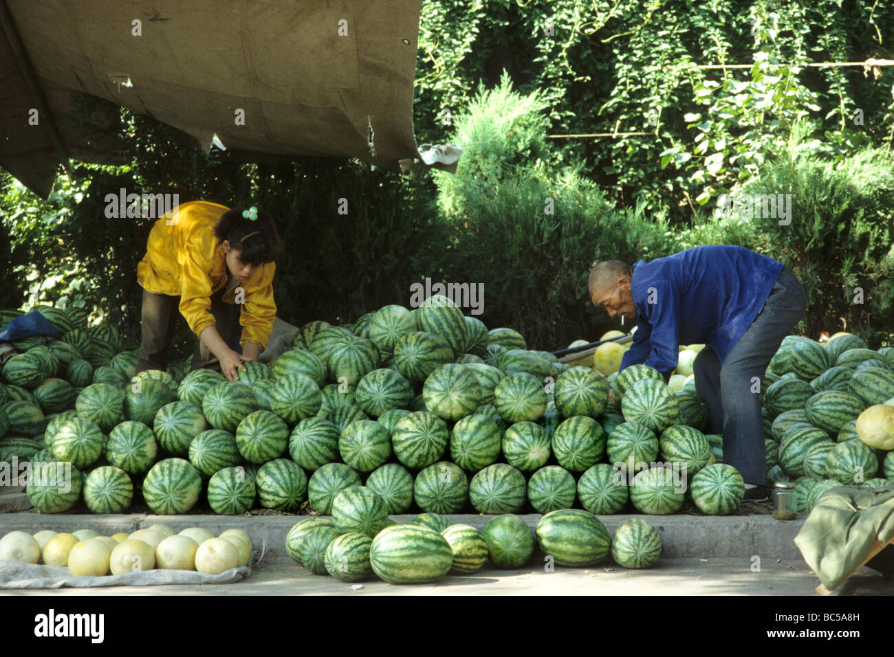Watermelons seller hi-res stock photography and images - Alamy
