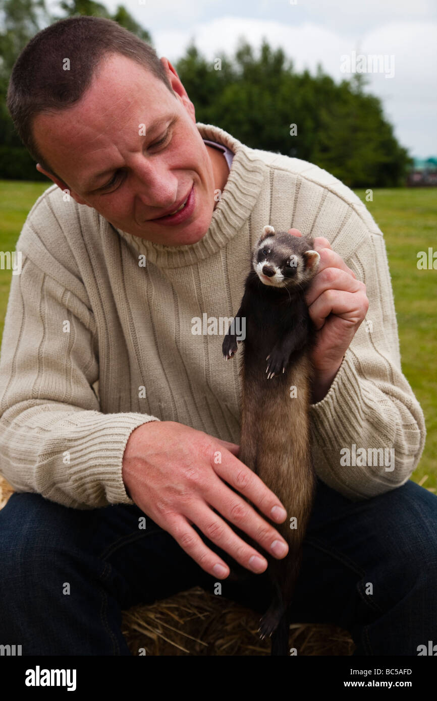 man with his pet polecat coloured female ferret, Edinburgh, Scotland ...