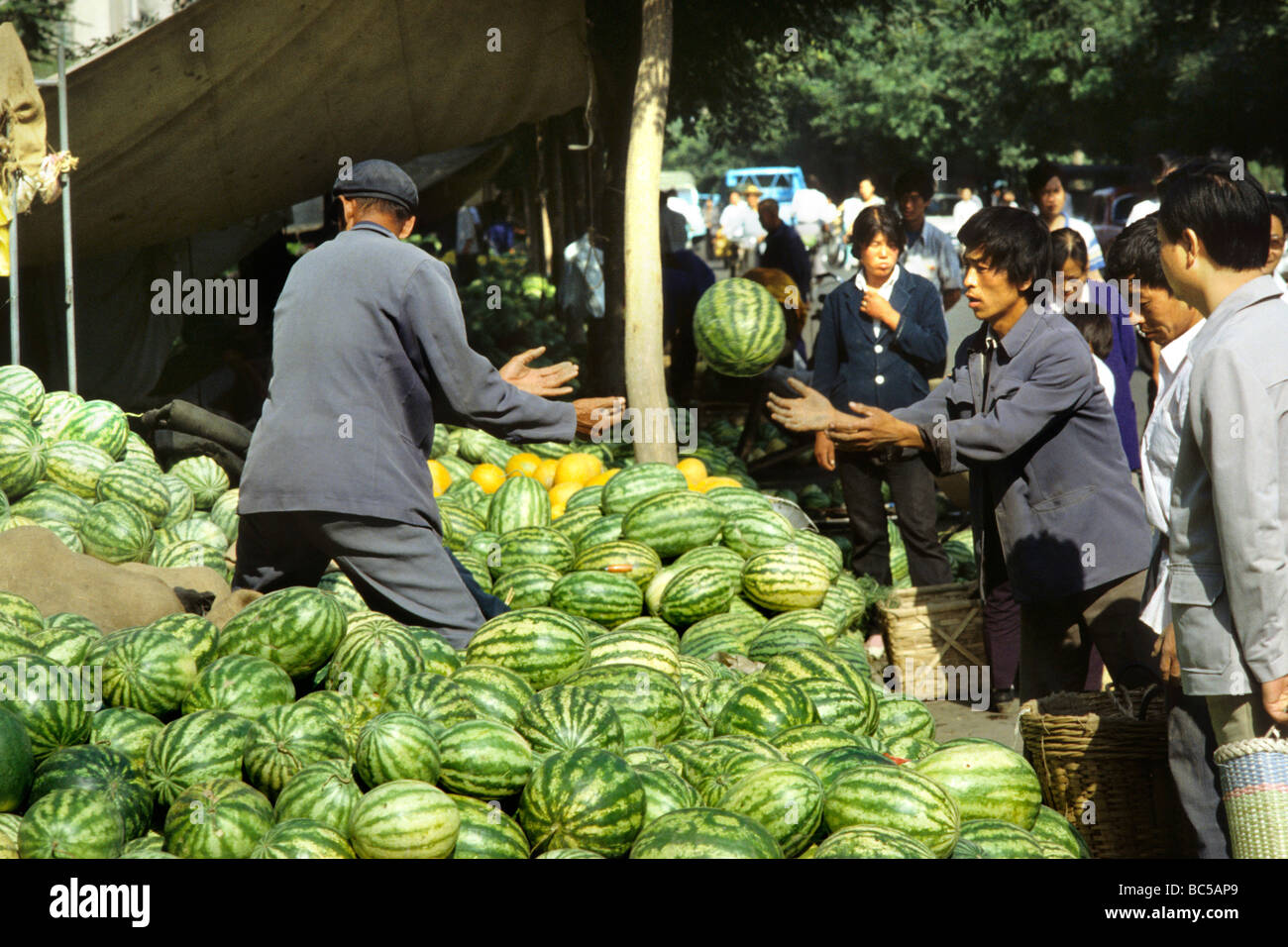china Watermelons seller Lanzhou Stock Photo - Alamy