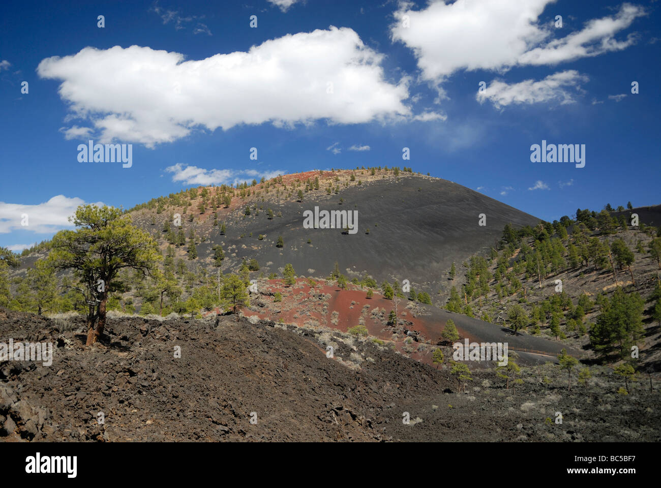 Landscape in Sunset Crater Volcano National Monument, Arizona, USA ...