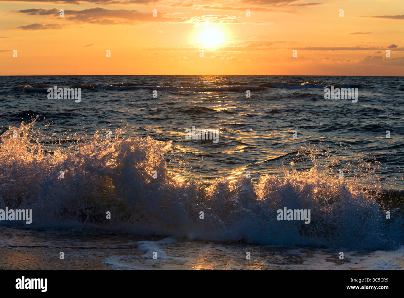 Green sea wave break hi-res stock photography and images - Alamy
