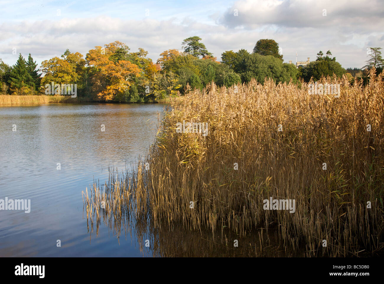 Beaulieu Lake Hampshire UK Stock Photo - Alamy
