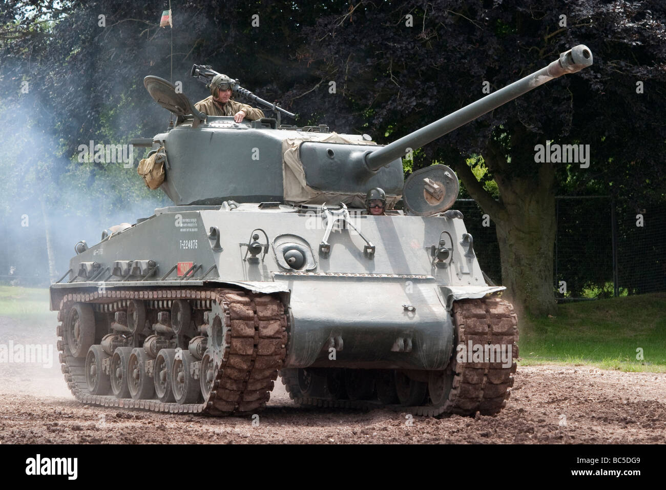 Sherman firefly hi-res stock photography and images - Alamy