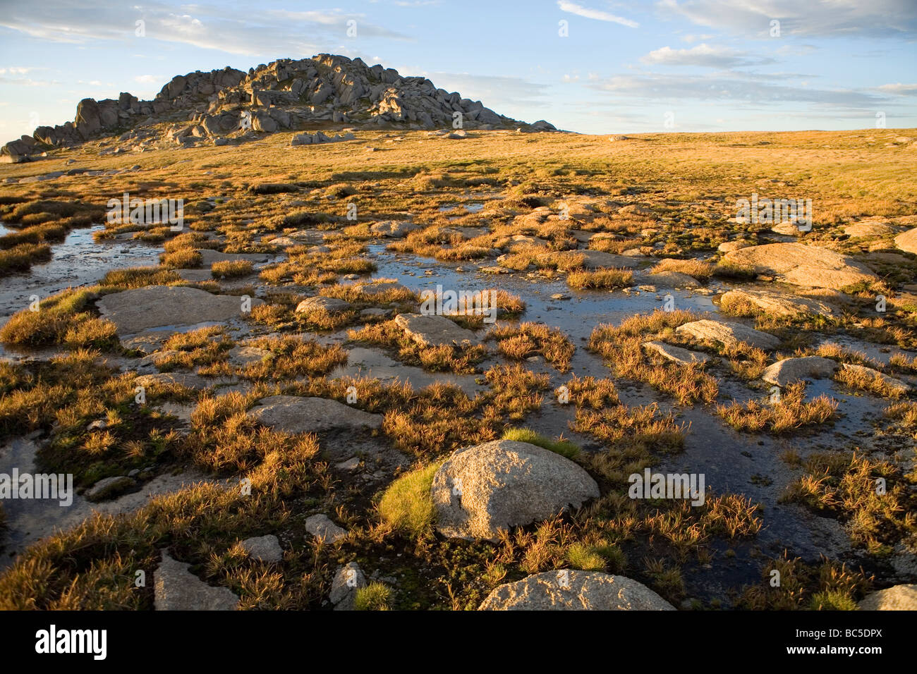 Evening light on the slopes of Mount Townsend, Australia's second ...