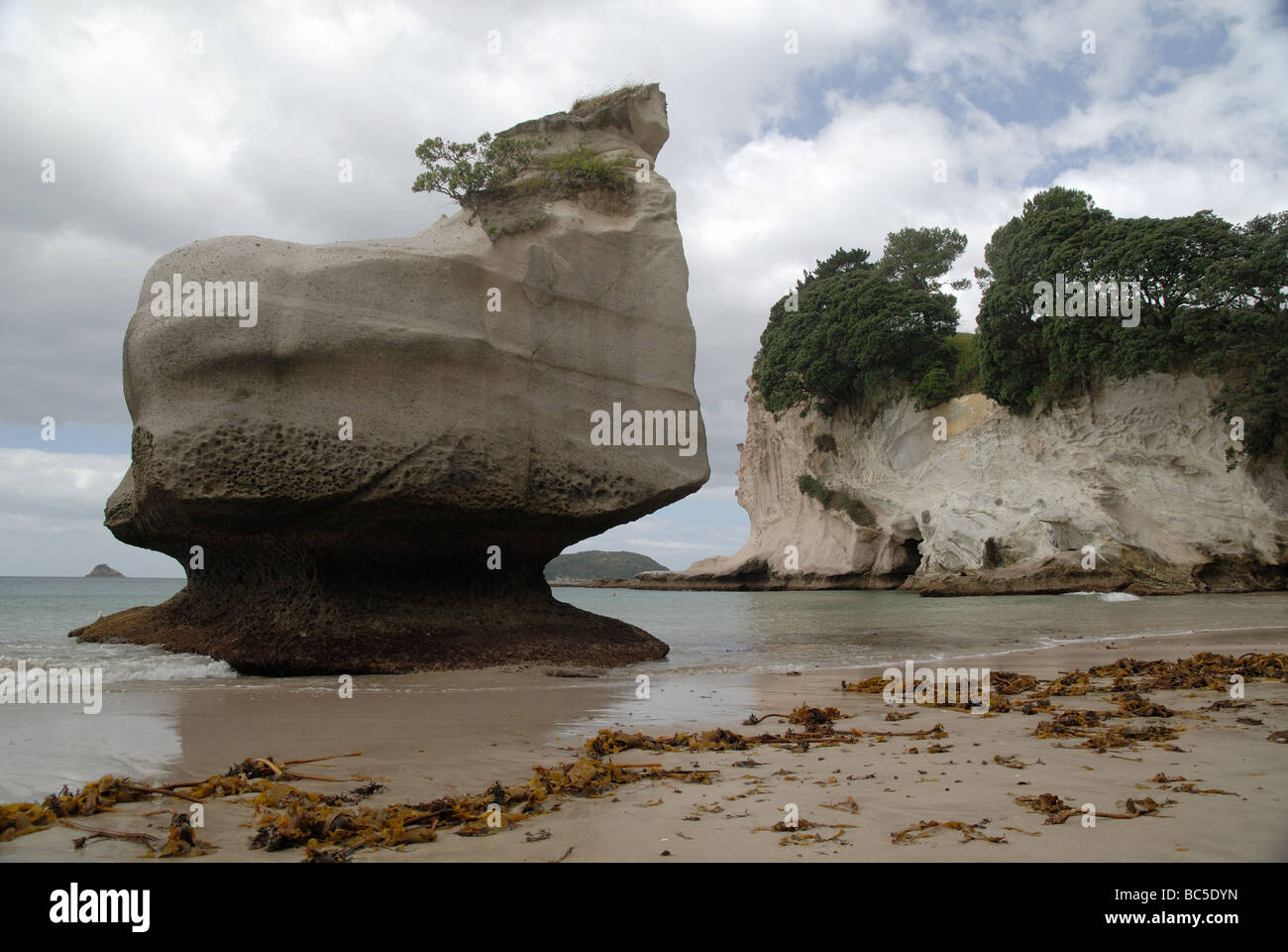 Cathedral Cove, The Coromandel, New Zealand Stock Photo - Alamy