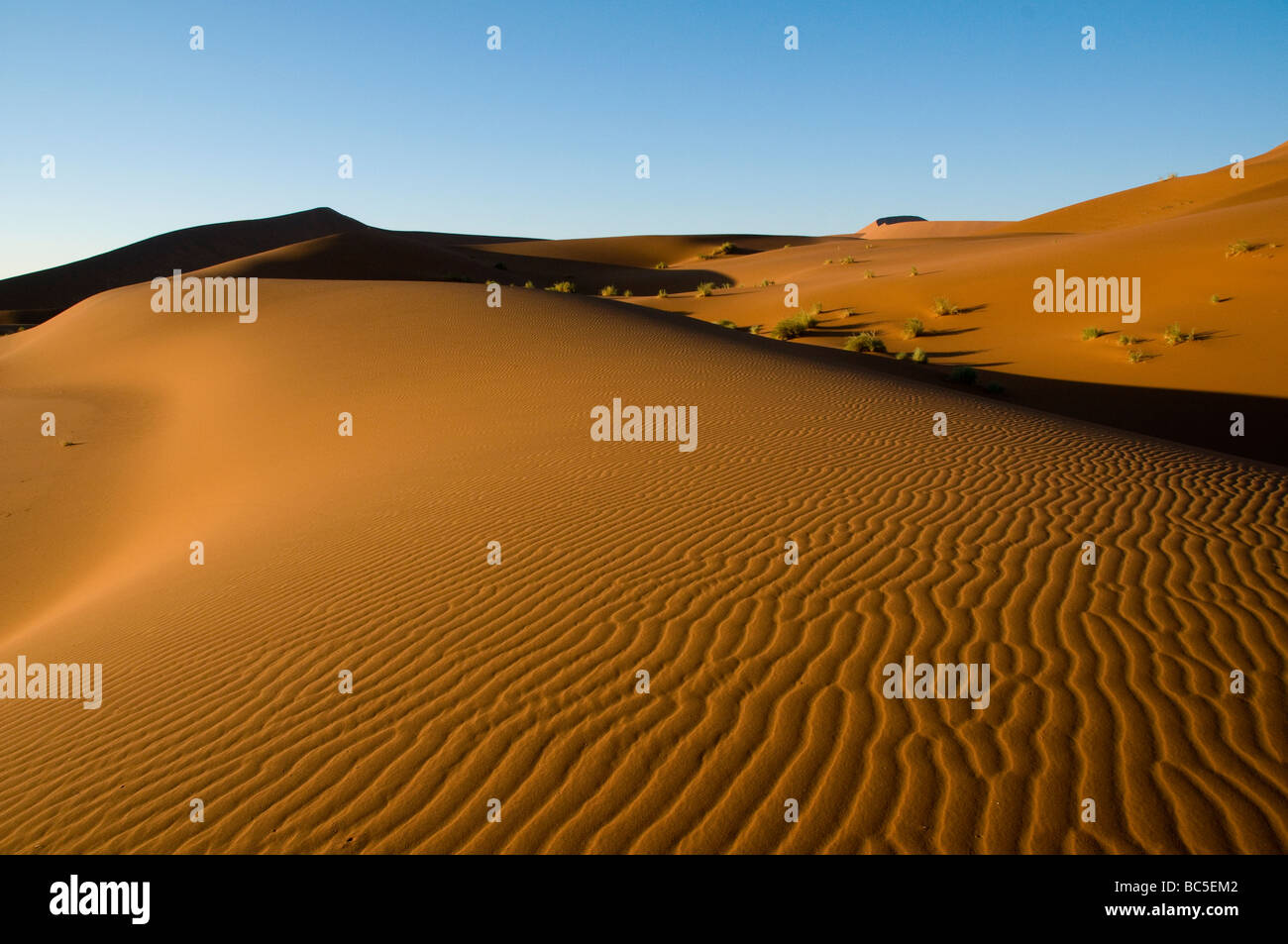 the beautiful sand dune landscape of Sossusvlei National Park in Nambia ...