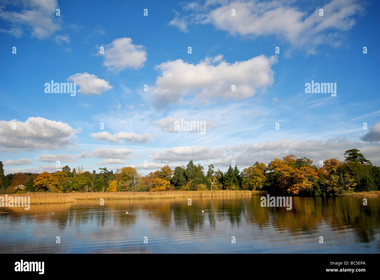 Beaulieu lake hi-res stock photography and images - Alamy