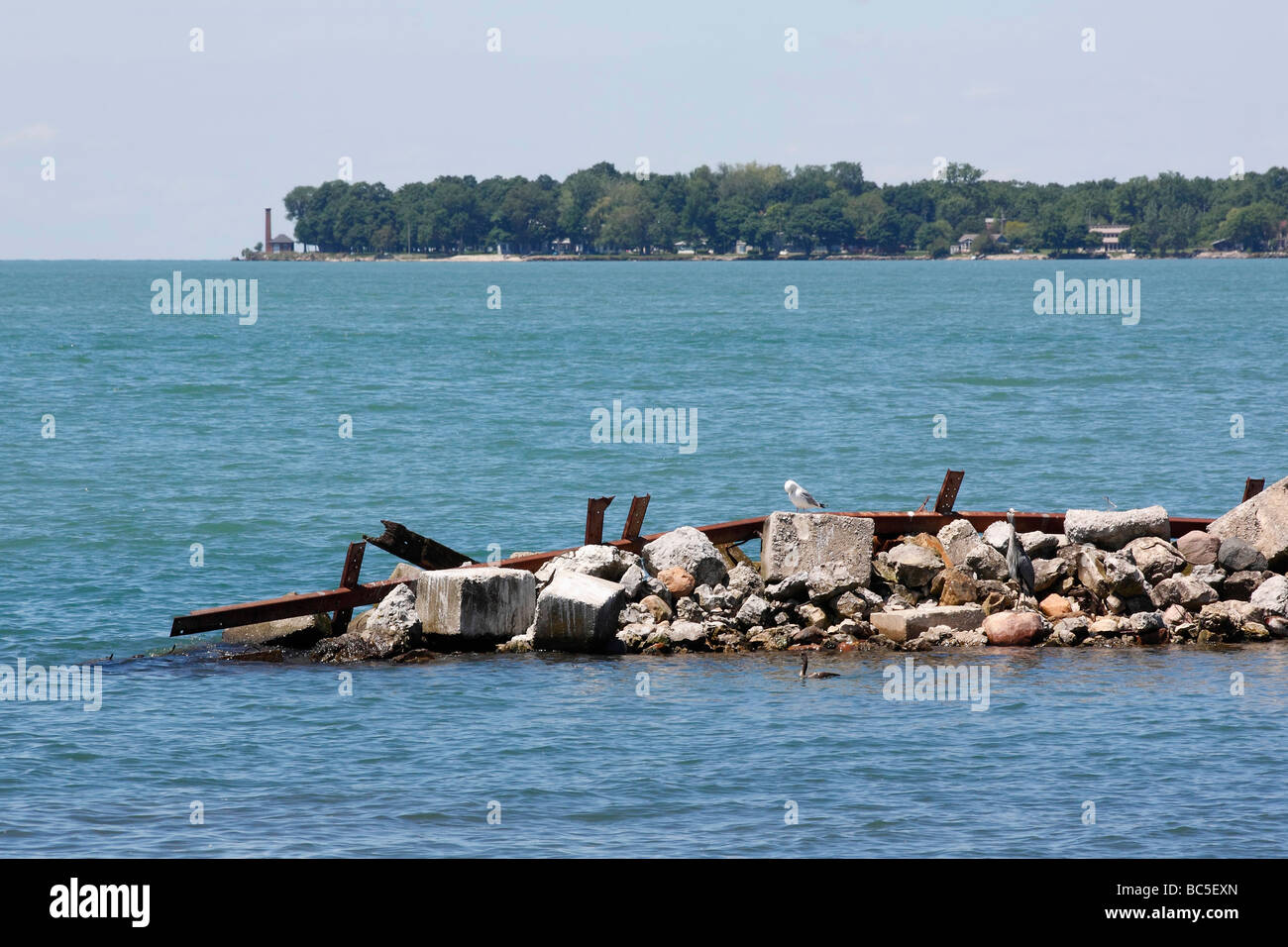 Pollution lake Erie in State Ohio USA Stock Photo - Alamy