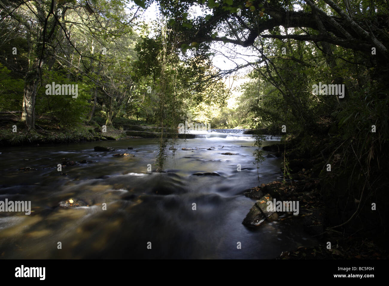 River Camel, Dunmere Stock Photo - Alamy