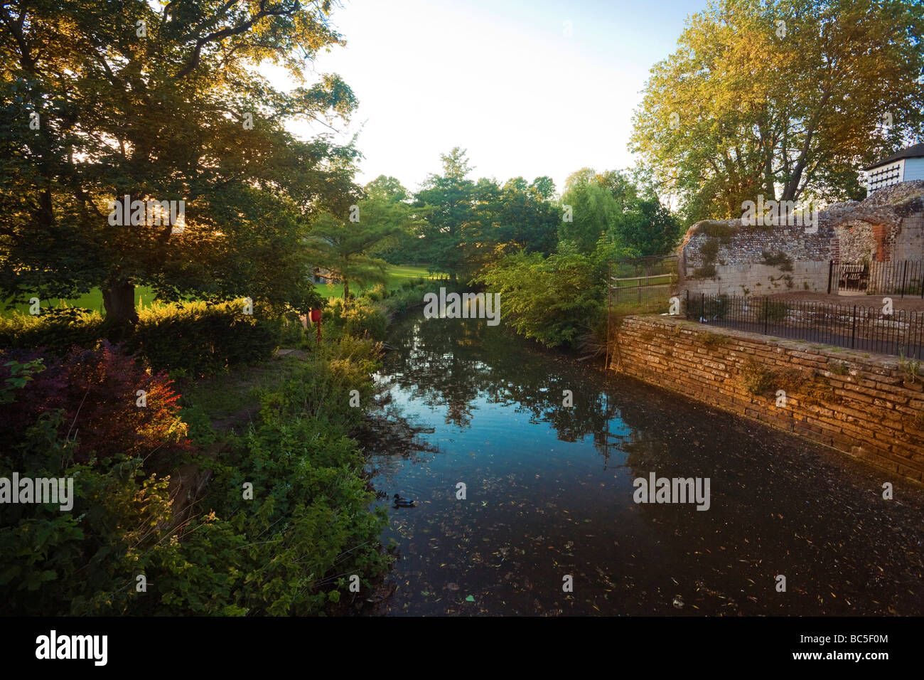 view of River Lark through the Abbey Gardens at Bury St Edmunds ...