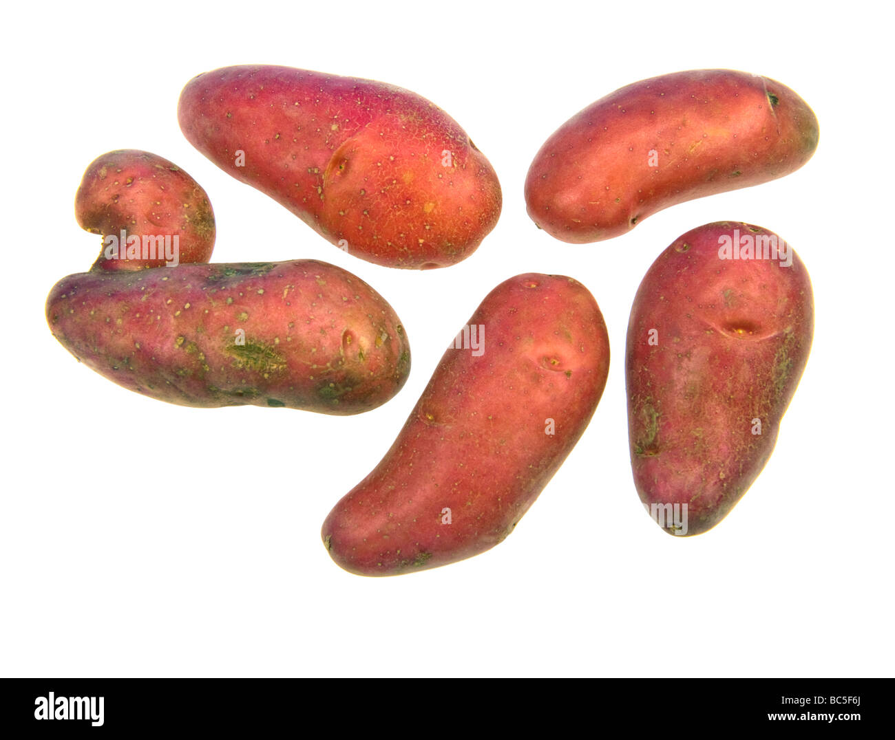 red potato french new sort of potatoes of france FOOD curious ...