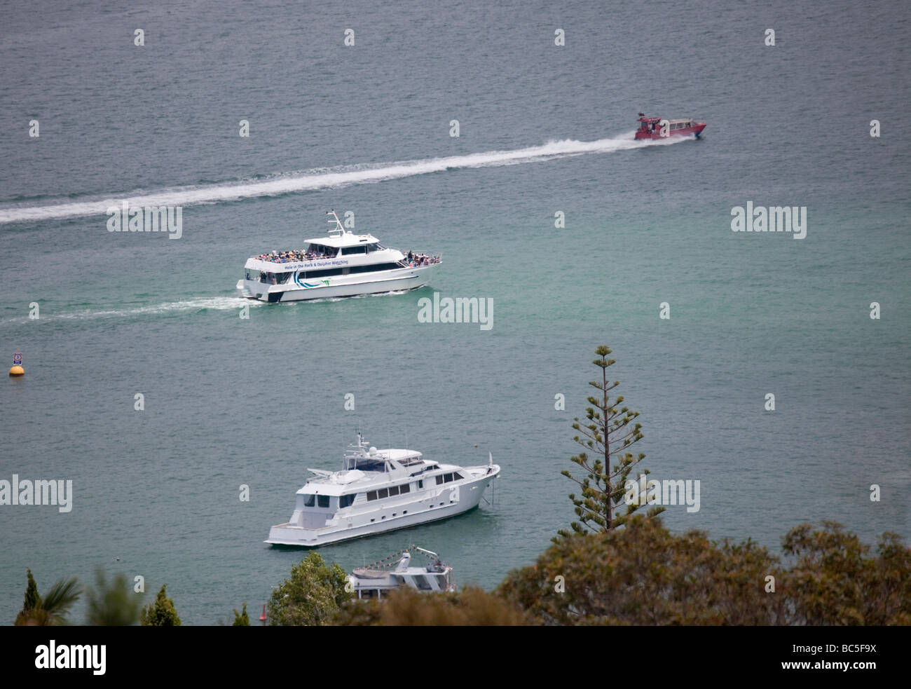 Passenger Ship and Yachts in Bay of Islands - Russell, Northland, North ...