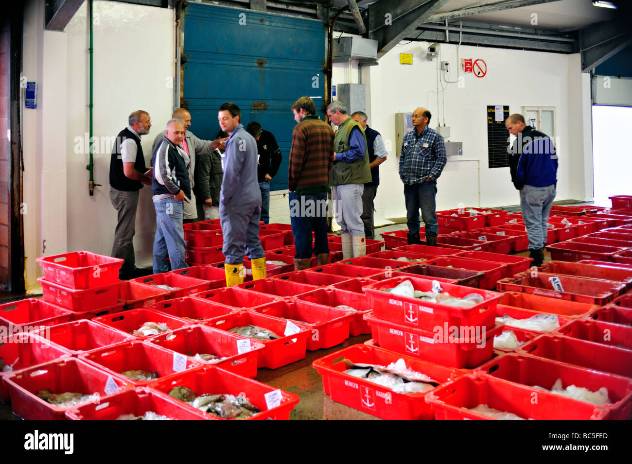 Newlyn Fish Market High Resolution Stock Photography and Images - Alamy