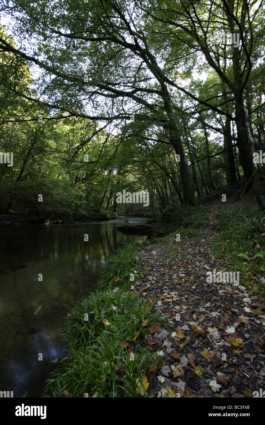 River Camel, Dunmere Stock Photo - Alamy