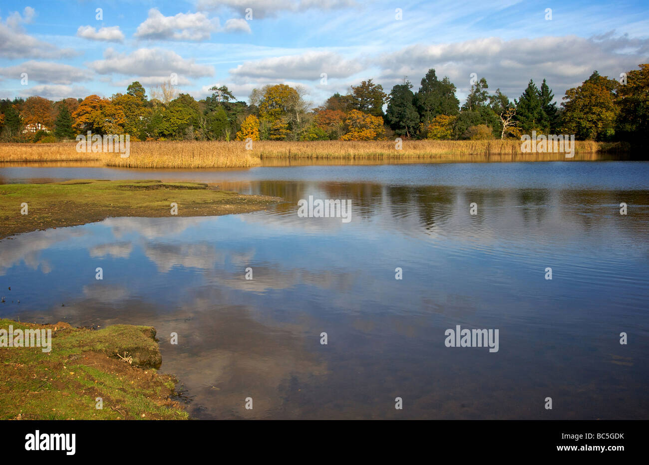 Beaulieu Lake Hampshire UK Stock Photo - Alamy