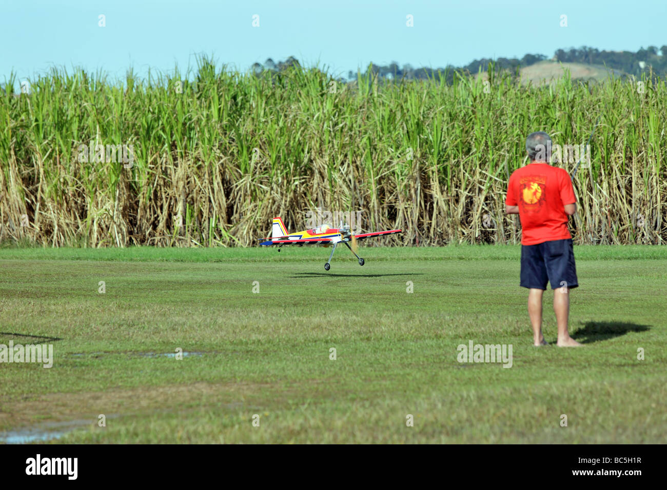 Radio controlled aeroplane being flown near a sugar cane plantation ...