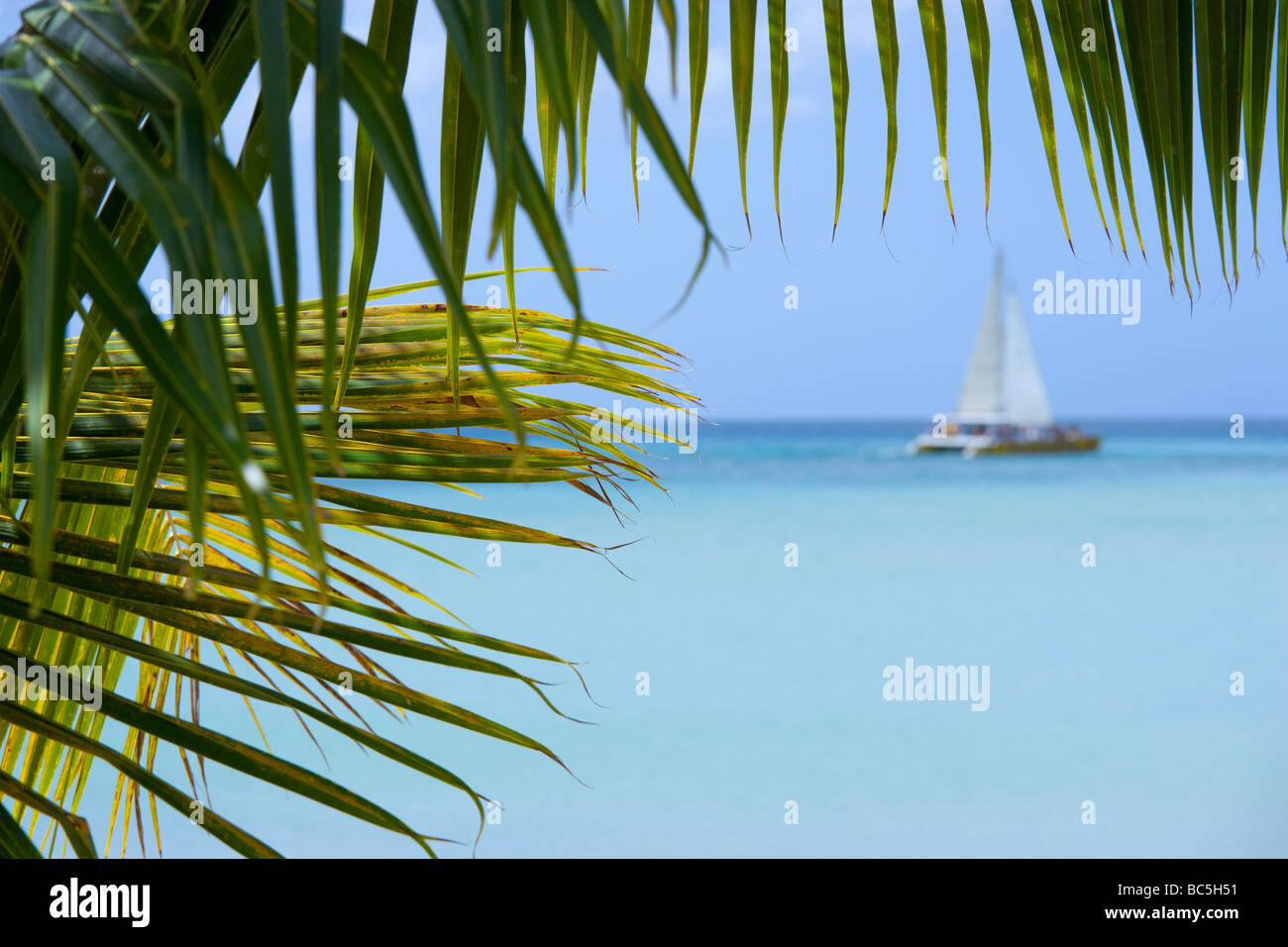 Grenada, Saint George´s, Sailboat on the Caribbean Sea Stock Photo - Alamy