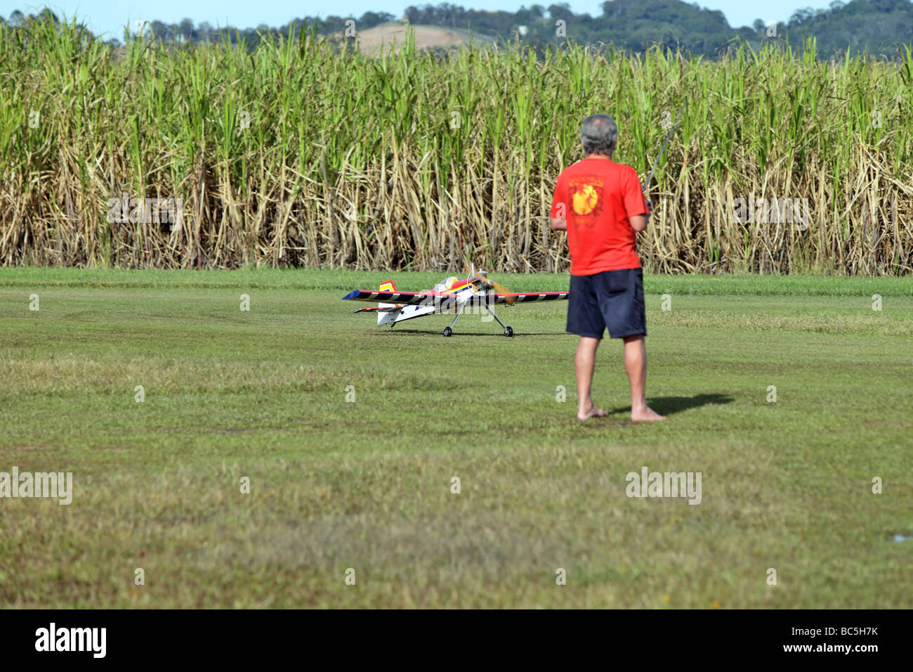 Radio controlled aeroplane being flown near a sugar cane plantation ...