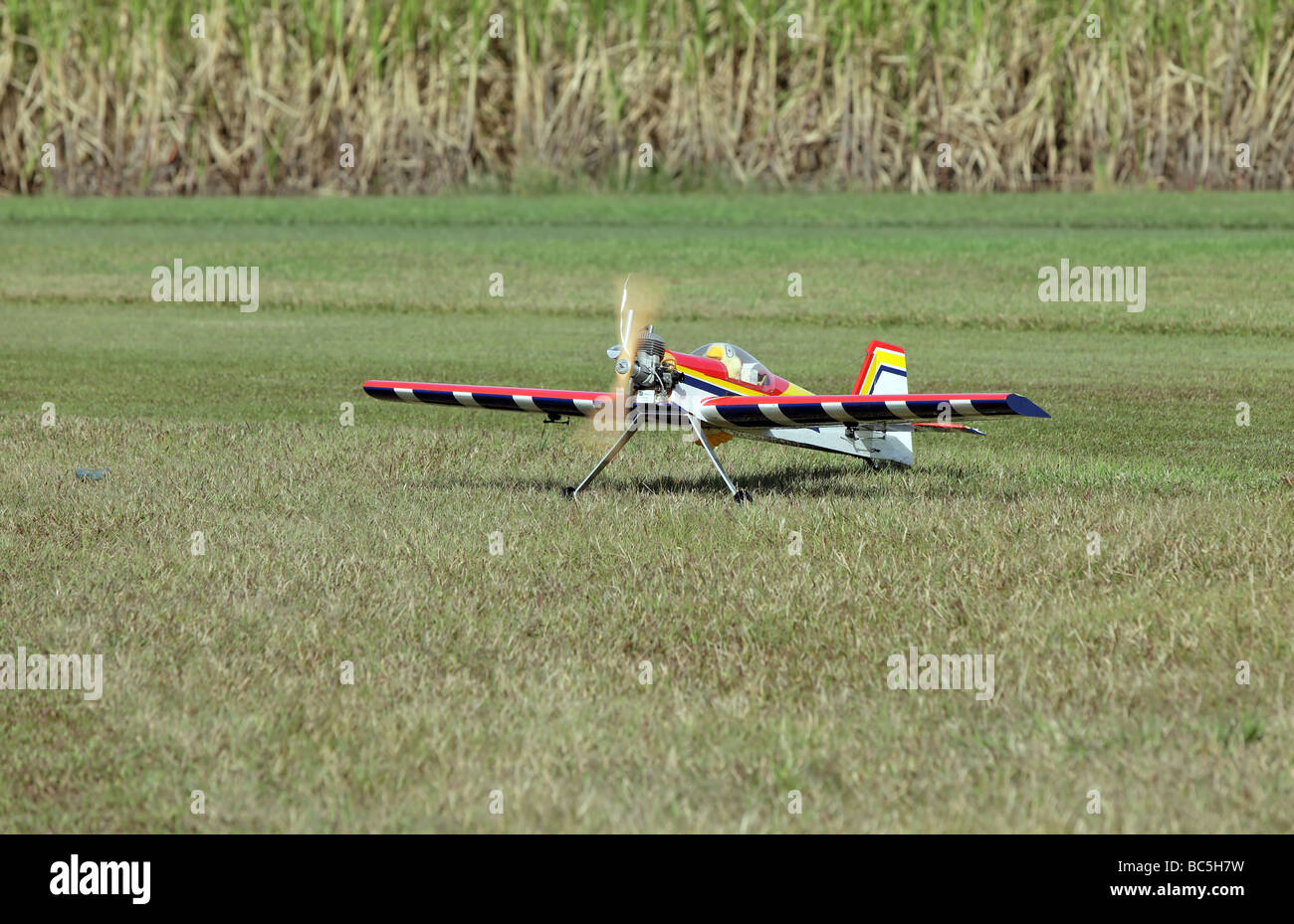 Radio controlled aeroplane being flown near a sugar cane plantation ...