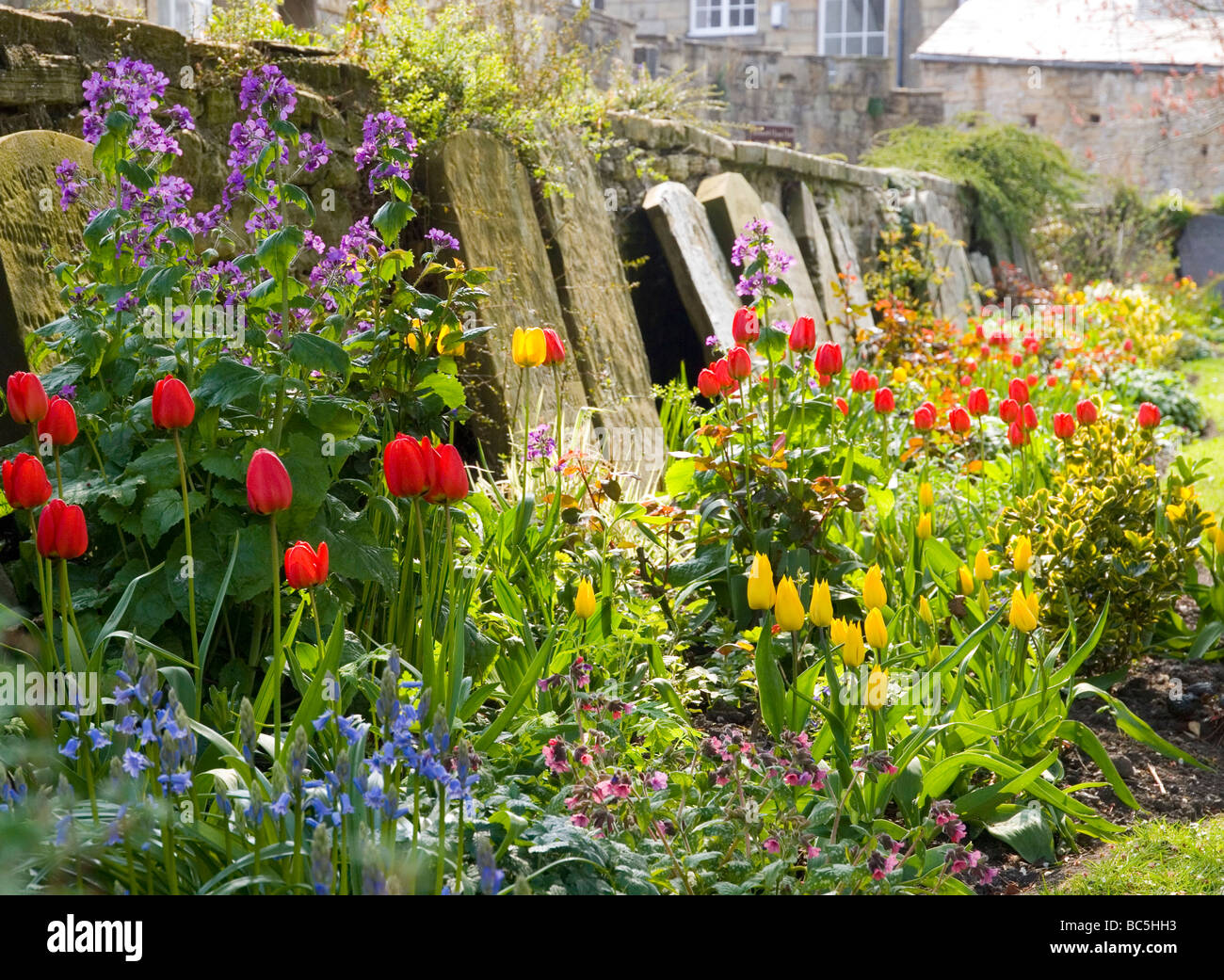 Pretty spring flowers amongst the headstones in the graveyard of St ...