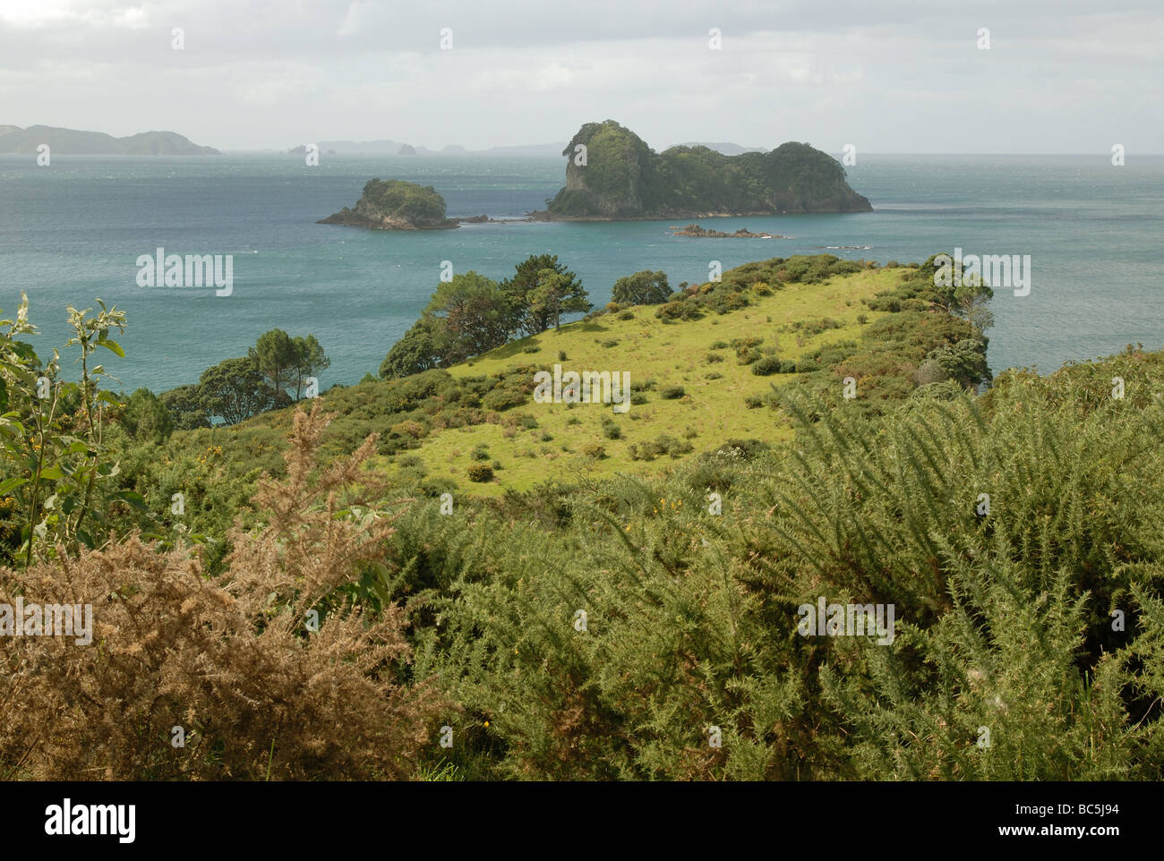Landscape, West Coast of the Coromandel, New Zealand Stock Photo - Alamy