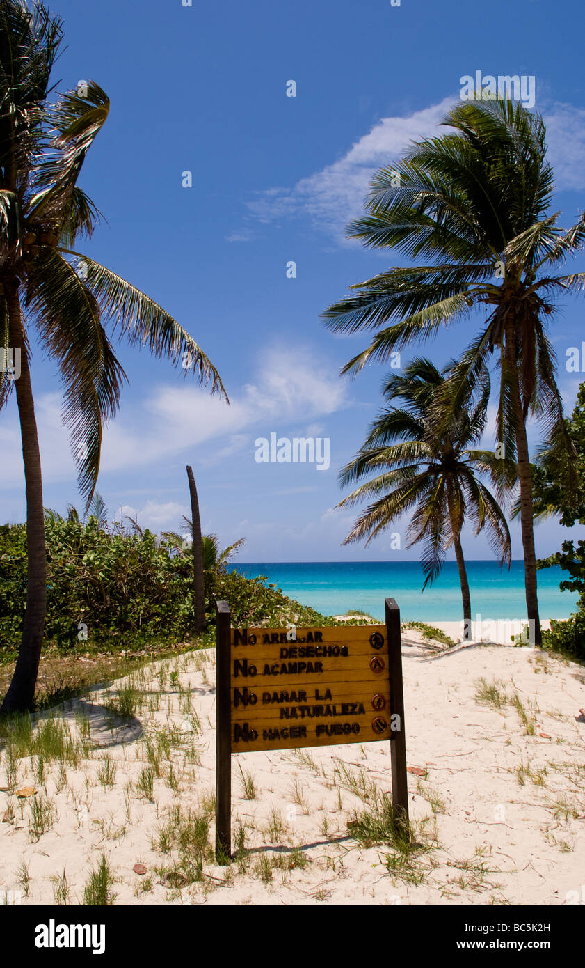 Beautiful blue water and beaches with palm trees of Cubas best beach ...
