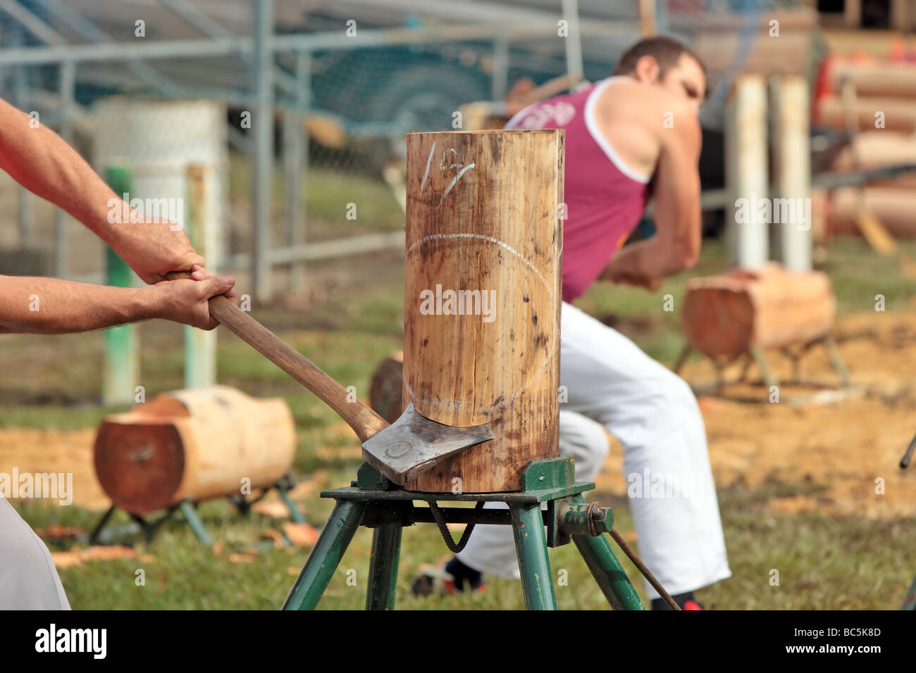 wood chopping competition with axemen in standing and upright ...