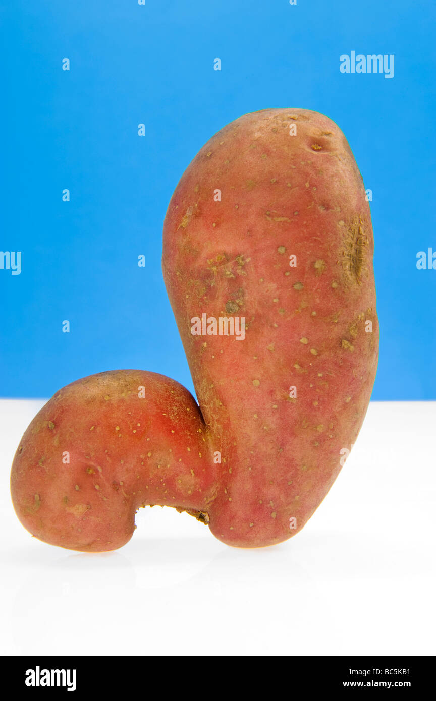 Only red color hi-res stock photography and images - Alamy