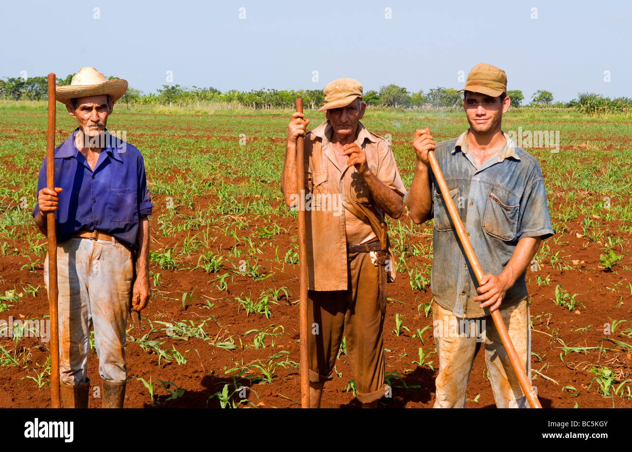 Farmer working fields near havana hi-res stock photography and images ...