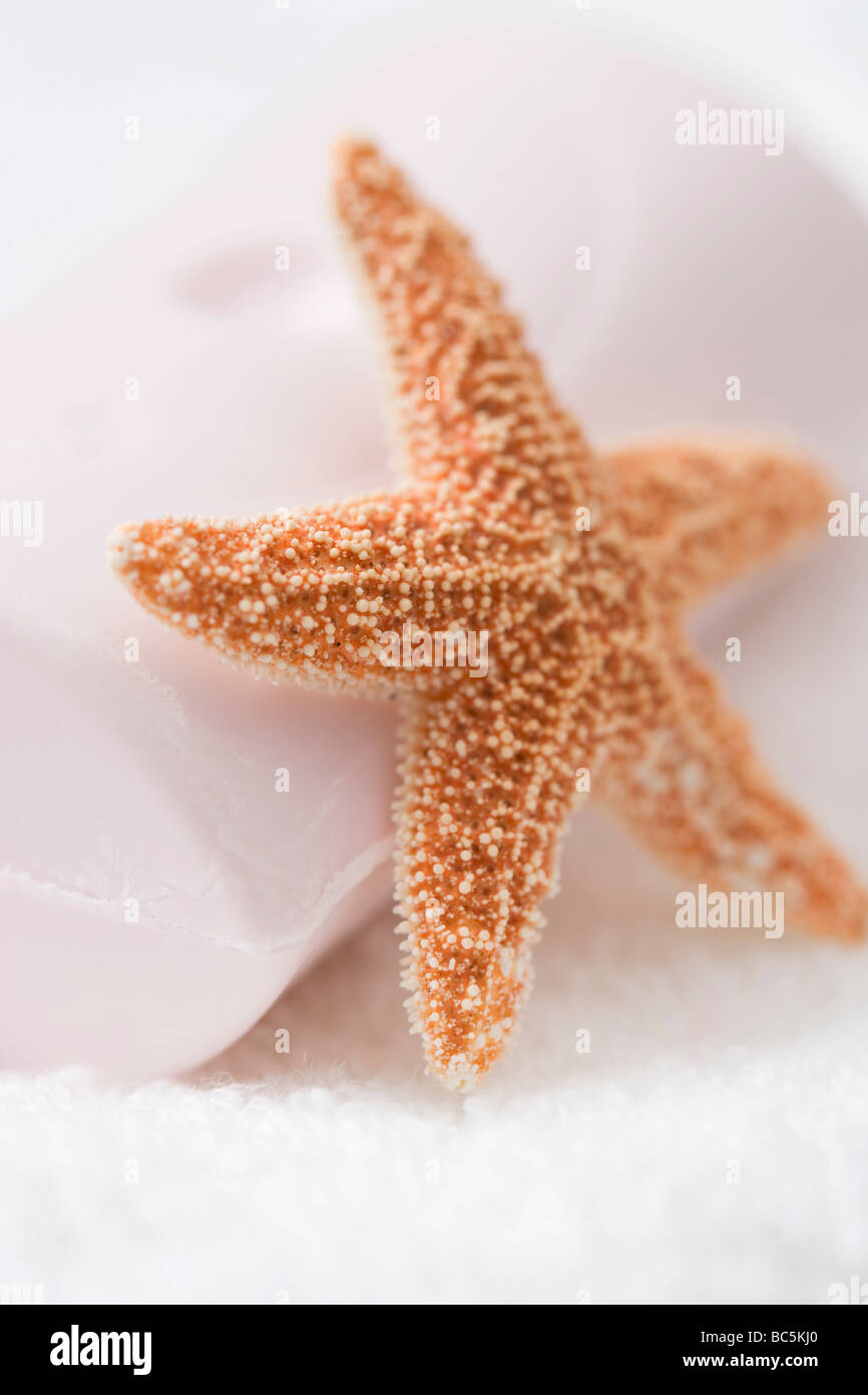 Starfish with soap Stock Photo - Alamy