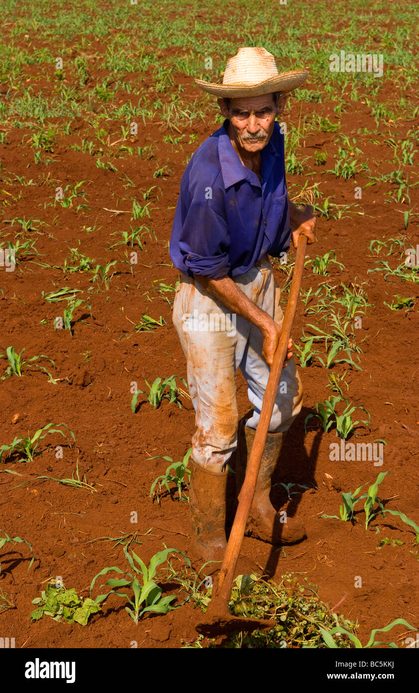 Farmer working fields near havana hi-res stock photography and images ...
