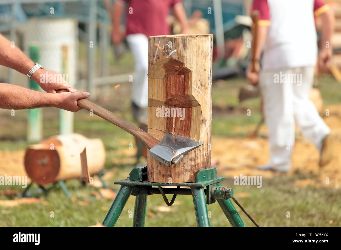wood chopping competition with axemen in standing and upright ...
