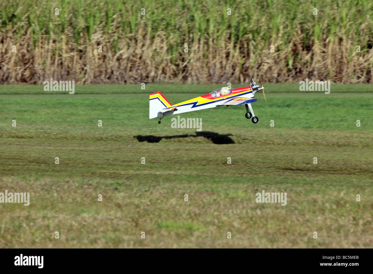 Radio controlled aeroplane being flown near a sugar cane plantation ...