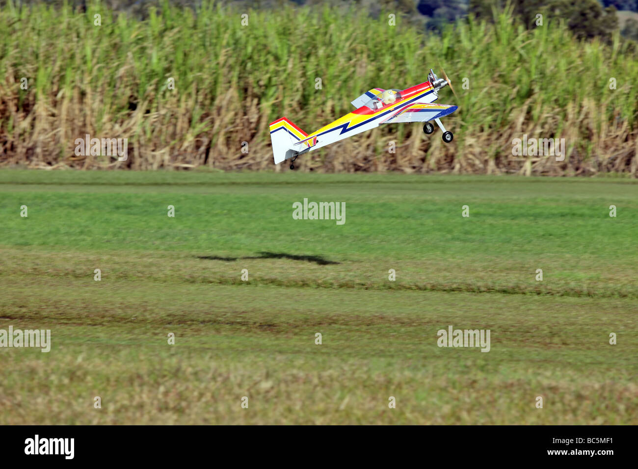 Radio controlled aeroplane being flown near a sugar cane plantation ...