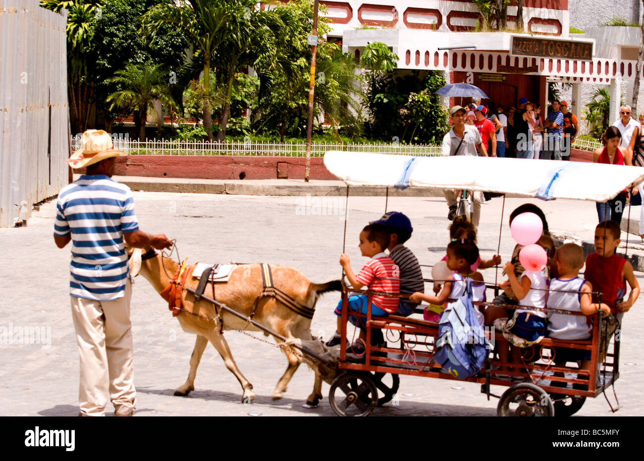 Local children celebrating with goat carriage ride in town square in ...