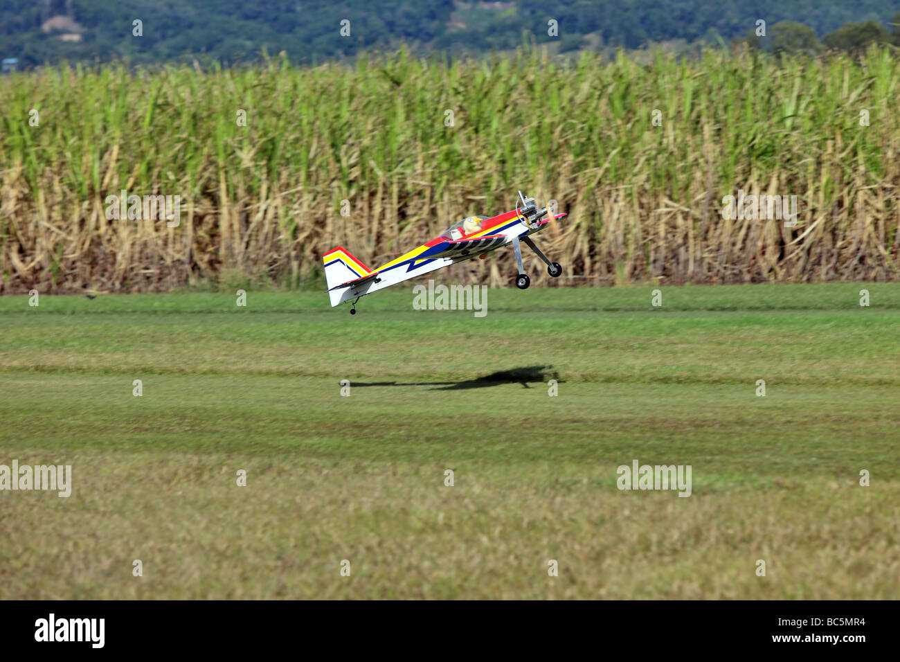 Radio controlled aeroplane being flown near a sugar cane plantation ...