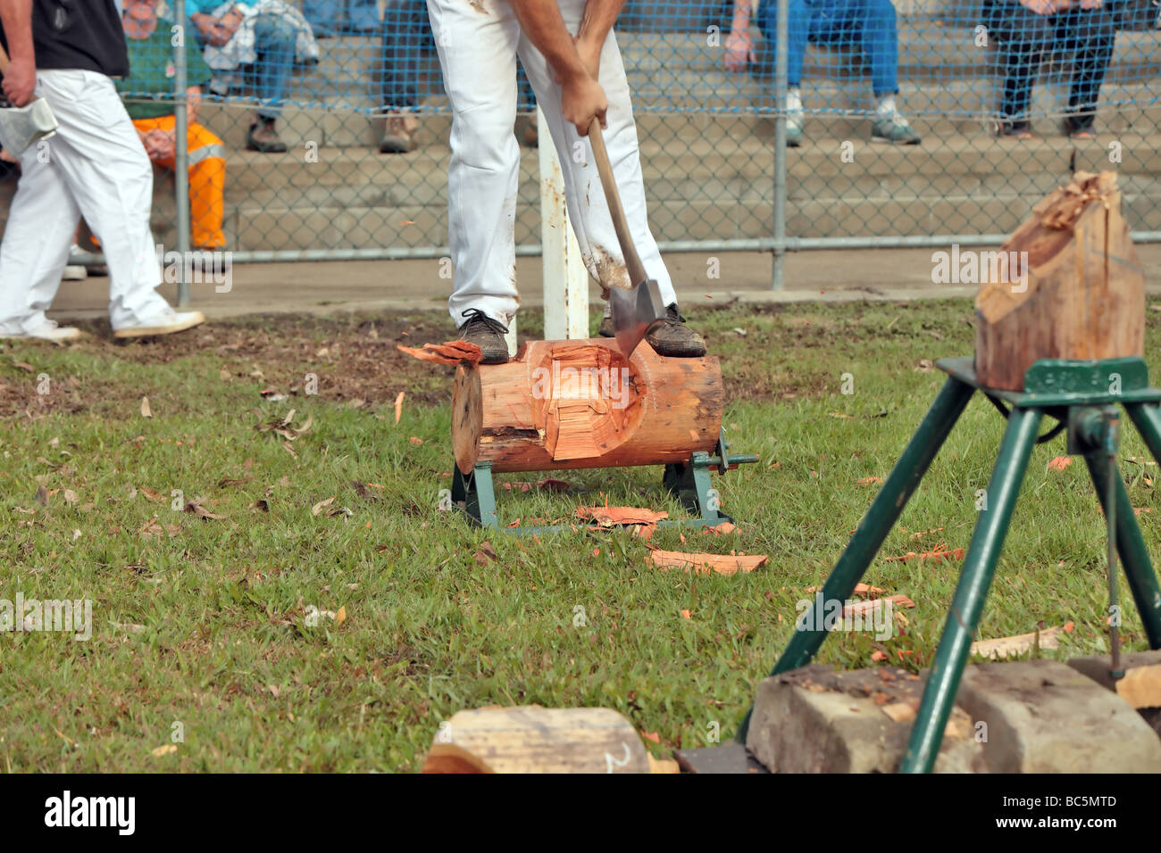wood chopping competition with axemen in standing and upright ...