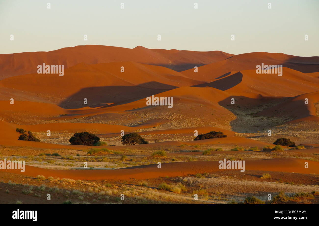 the beautiful sand dune landscape of Sossusvlei National Park in Nambia ...