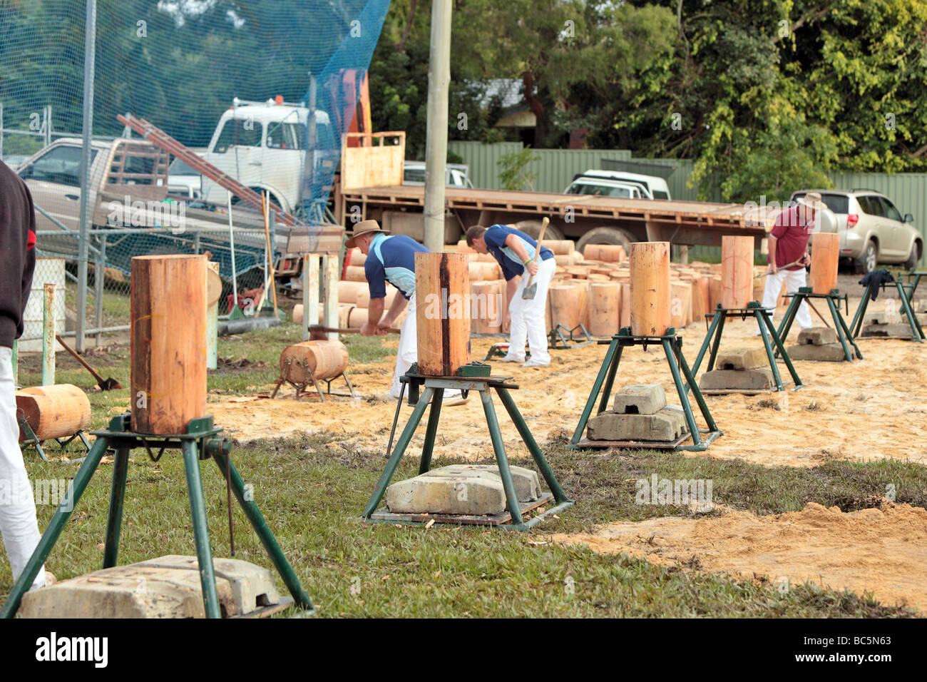 wood chopping competition with axemen in standing and upright ...