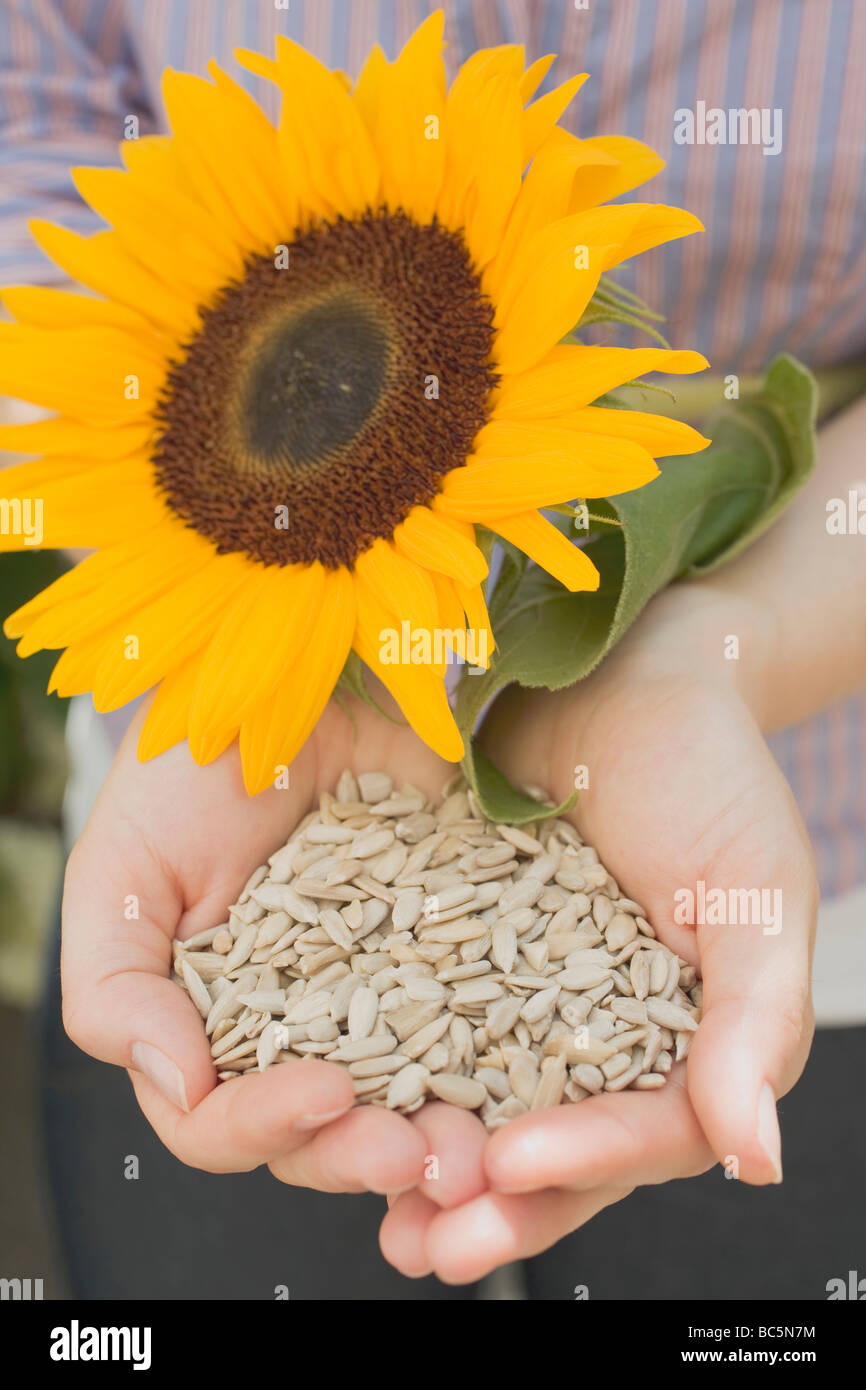Woman holding shelled sunflower seeds and sunflower Stock Photo - Alamy
